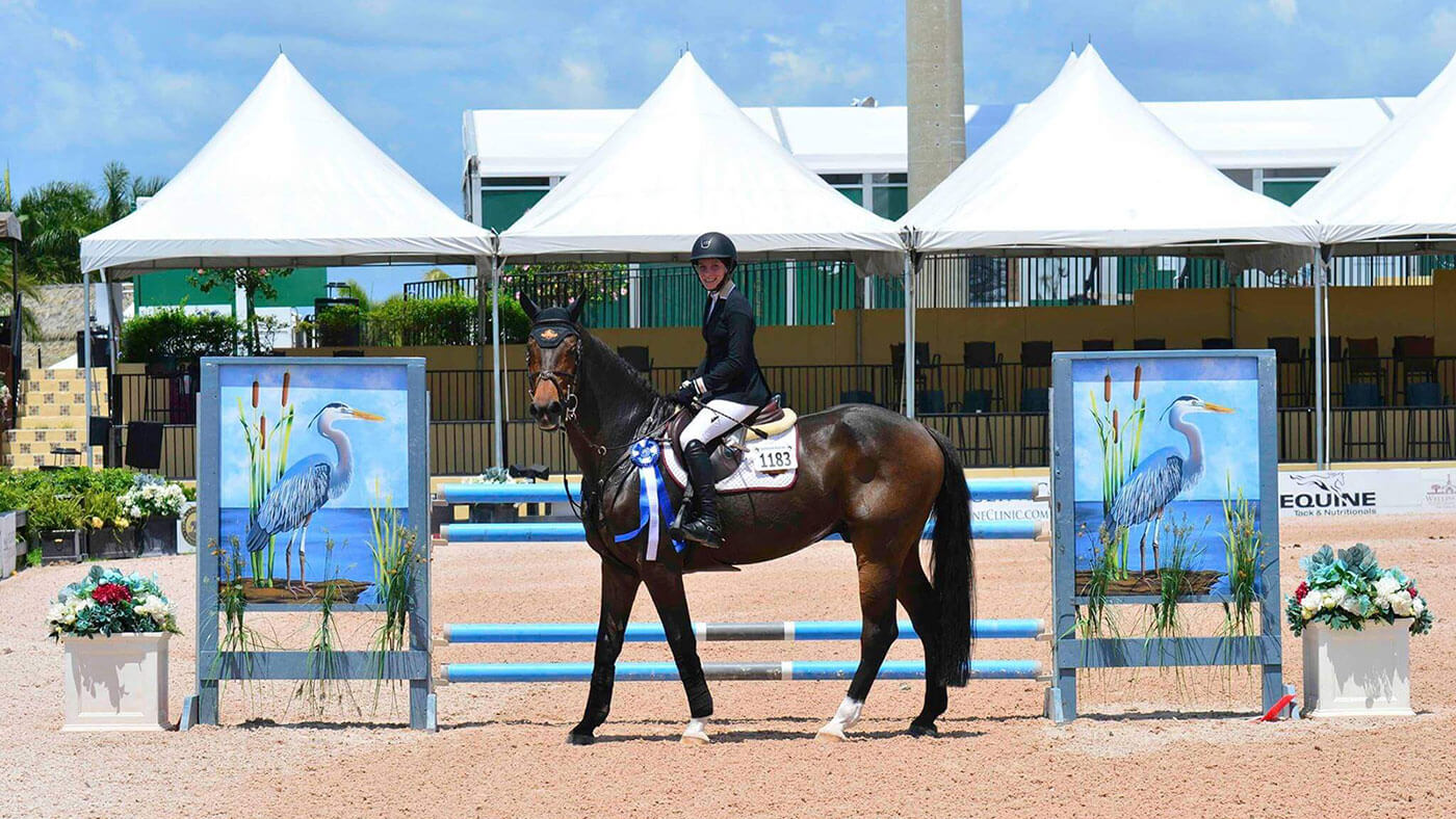 Pine Hollow News, Equestrian News » Pine Hollow