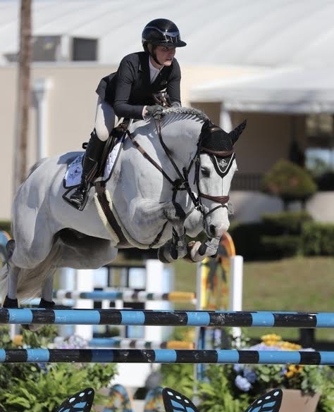 Dougland - Pine Hollow